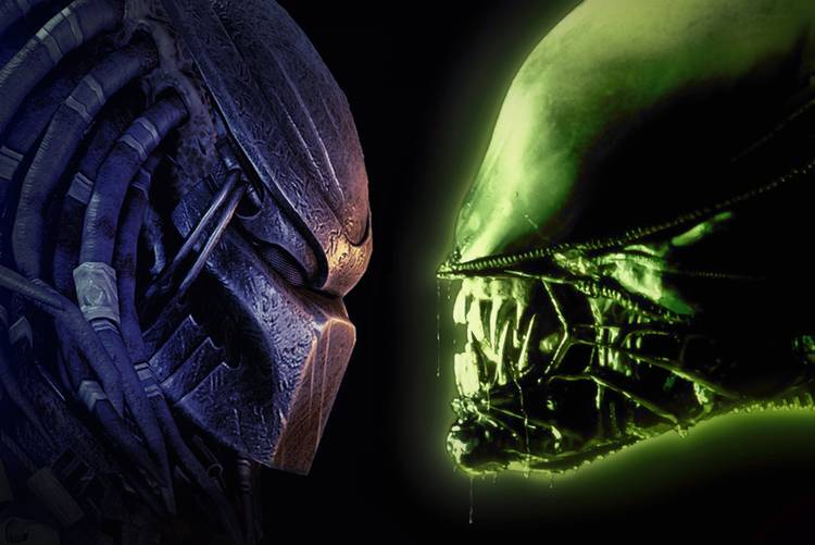 How to watch Prey (2022): Can you stream the new Predator?