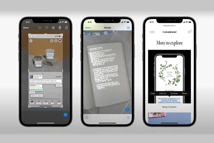 What is Apple Live Text and how does it work on photos?