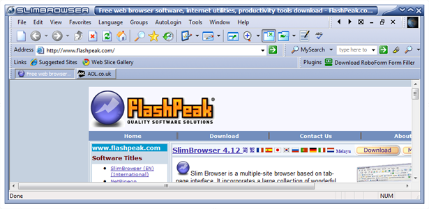 Wild Wild Web - the browser ballot's lesser-known options