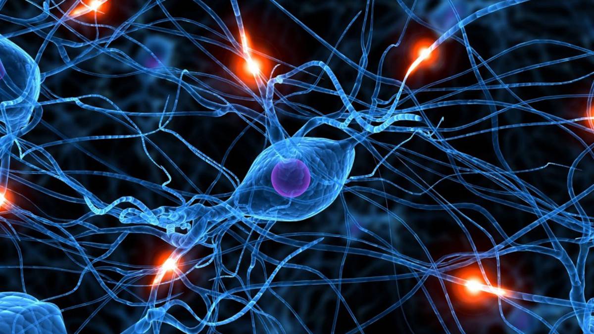 A learning computer that thinks like a human gets funding from ...