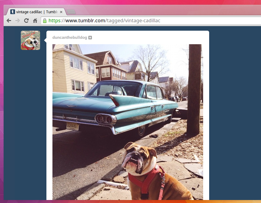 Tumblr wants to scan your posted photos to see which brands you like most