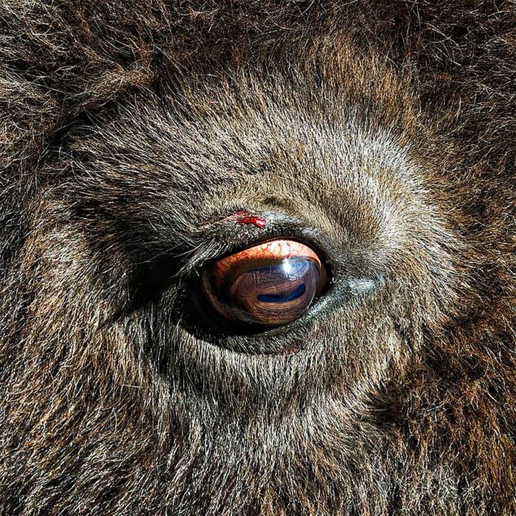 45 of the most incredible photographers to follow on Instagram