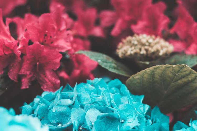 Best iPhone wallpaper: Minimalist, geometric, bokeh, more