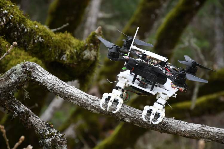 Real-life robots that will make you think the future is now