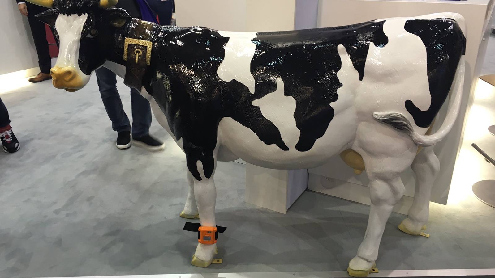 Internet of Cows is now a thing as UK start-up creates cow tracking app