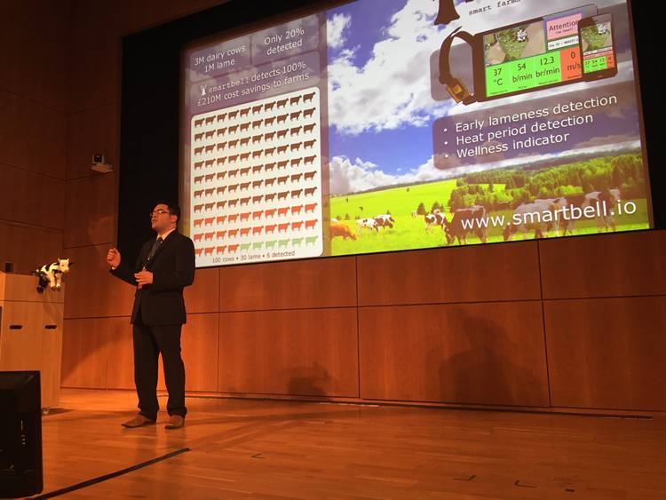 Internet of Cows is now a thing as UK start-up creates cow tracking app