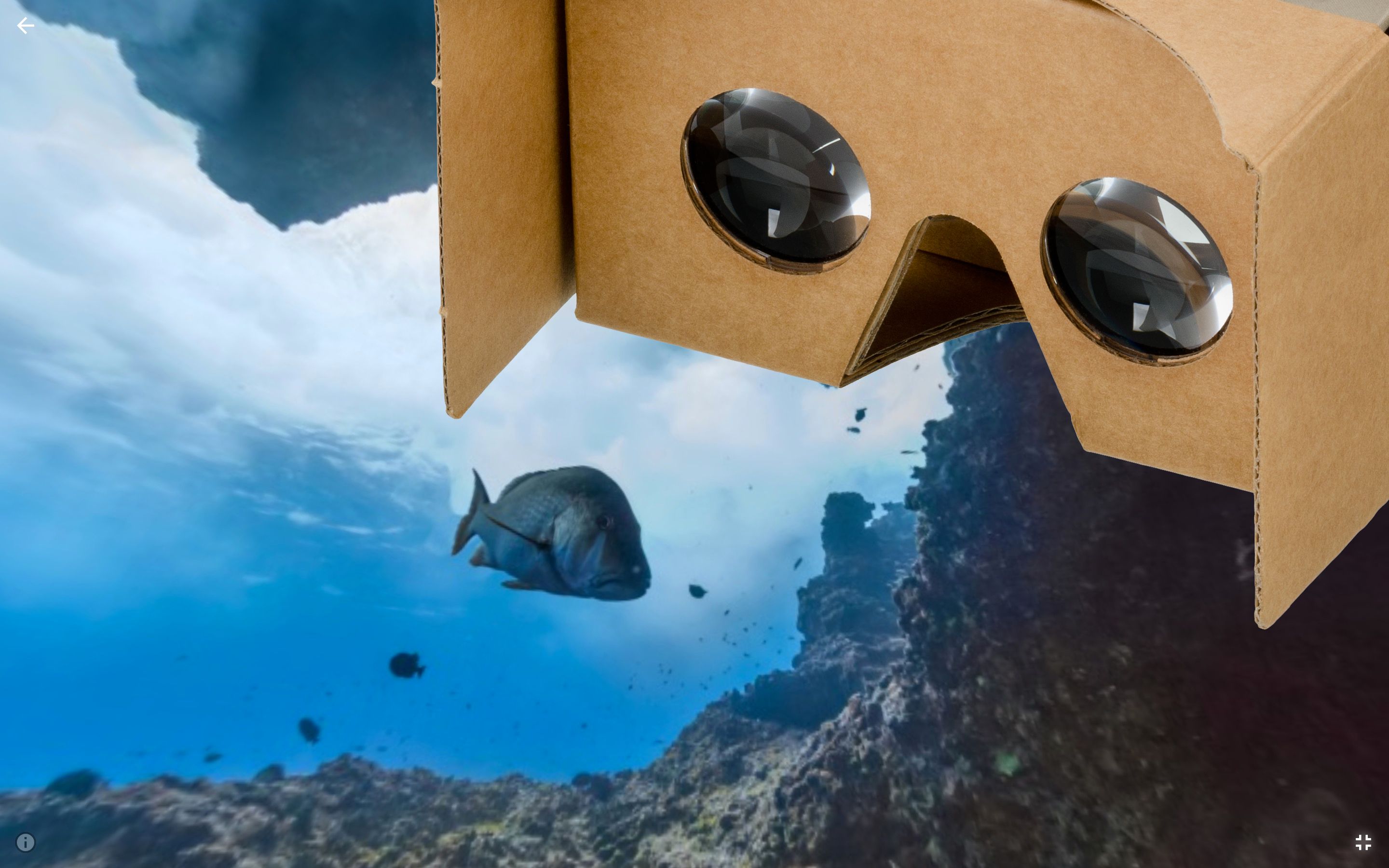 Google VR View makes it easier to embed 360-degree photos on sites