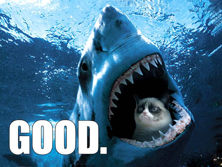 The most famous internet memes of all time