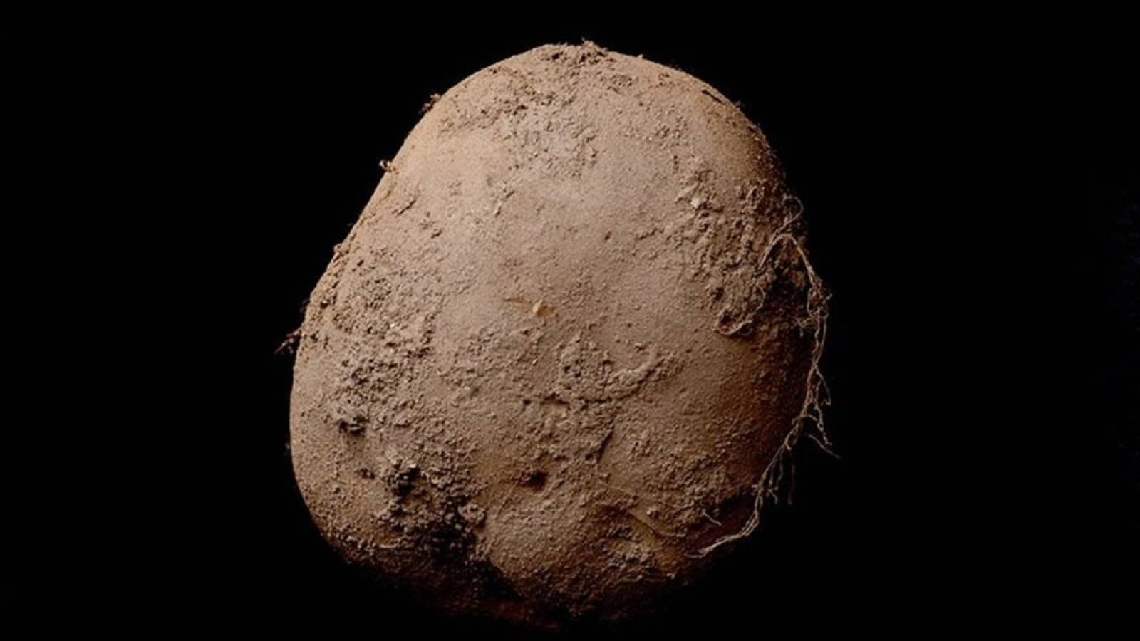 Fantastic photographic firsts