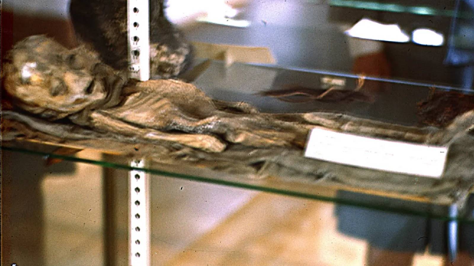 35 of the most famous alien and monster photographs ever taken