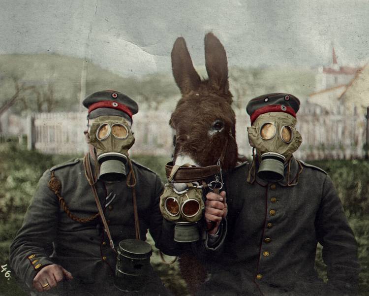 History in colour: Amazing old images brought to life with colour
