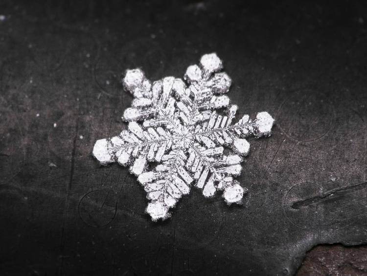 The best science images of the year: Astounding photos from the Royal ...