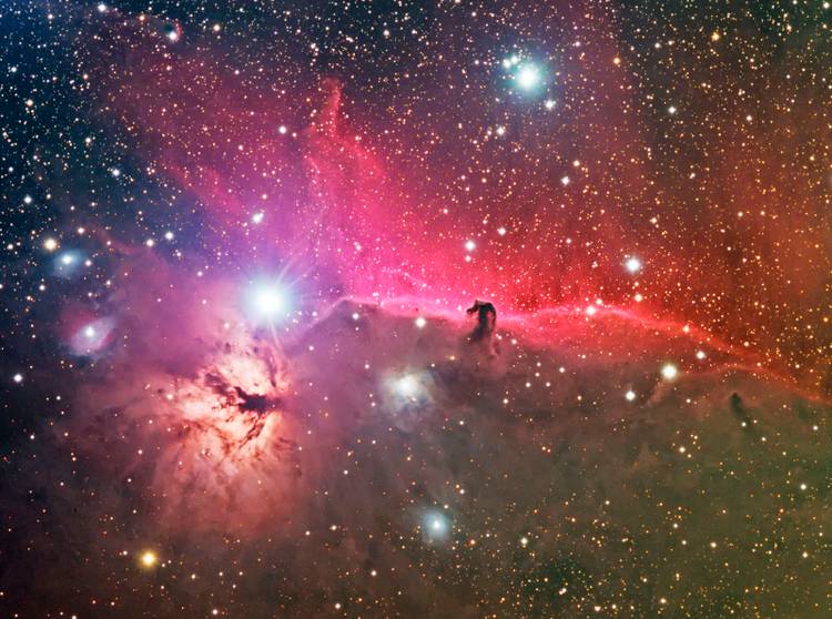 The best science images of the year: Astounding photos from the Royal ...