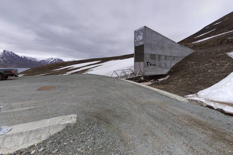 45 brilliant photos from around the world captured by Street View