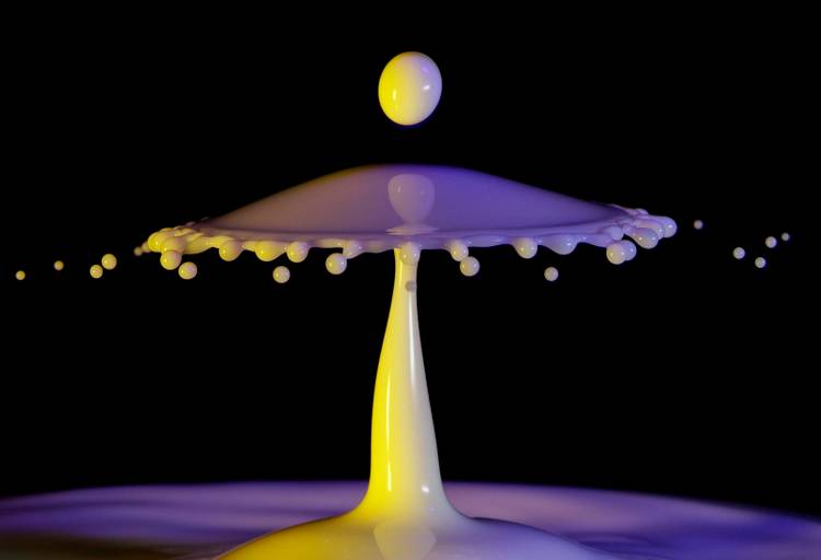 Awesome high-speed photography that's bound to astound