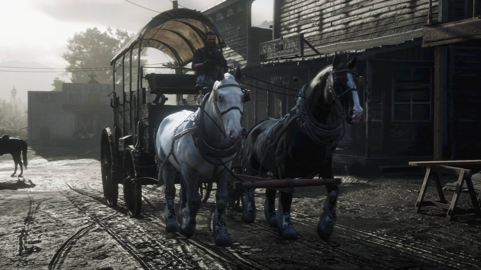 21 incredible Red Dead Redemption 2 photo mode shots