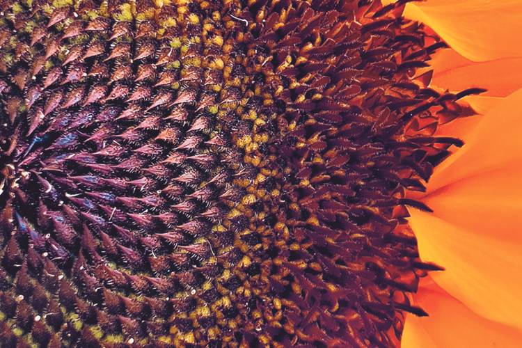 Best iPhone photos: Breathtaking images snapped on iPhone