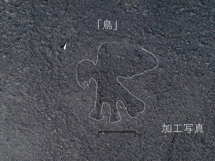 18 of the amazing and mysterious ancient ground drawings discovered in Peru