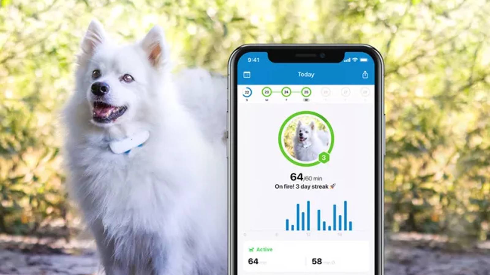 Best pet trackers 2024: Wearables and cameras for animals