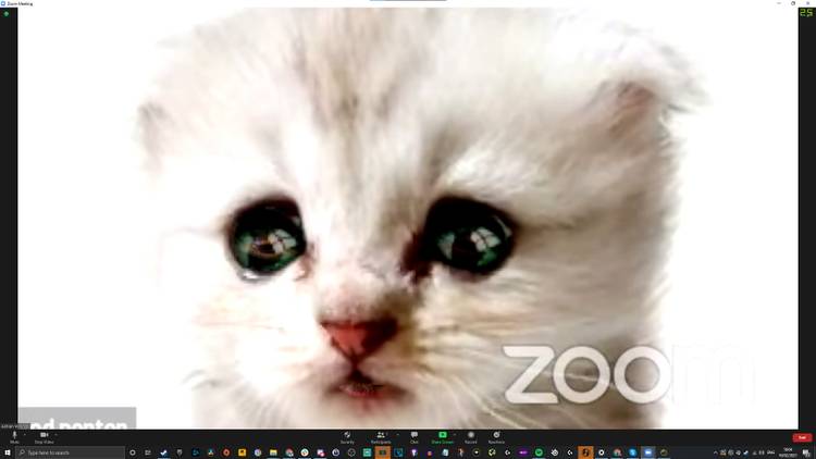 How to turn yourself into a potato or a cat (and other things) for Zoom ...