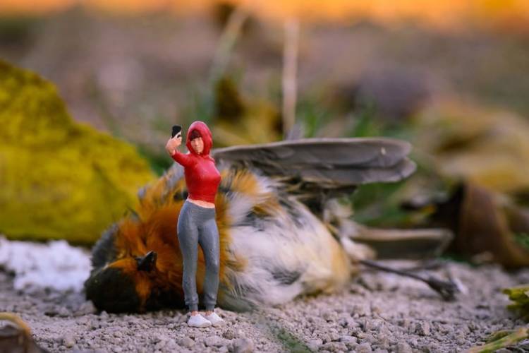 This amazing artist uses tiny figures to create brilliant mini worlds