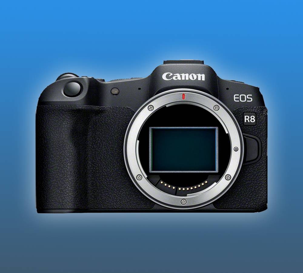 Canon EOS R8 vs R7: Which camera should you pick?