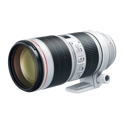Best camera lenses for taking action shots 2024