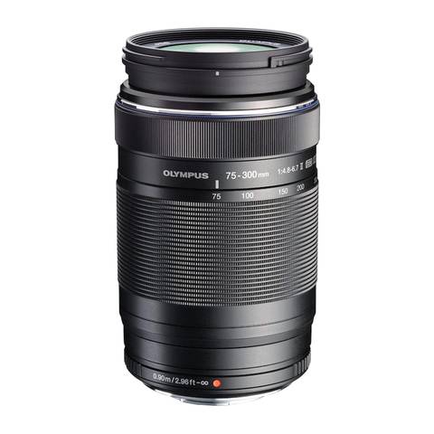 Best camera lenses for taking action shots 2024