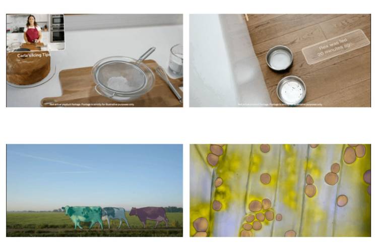 What is Meta's Segment Anything AI Model and why should you care?