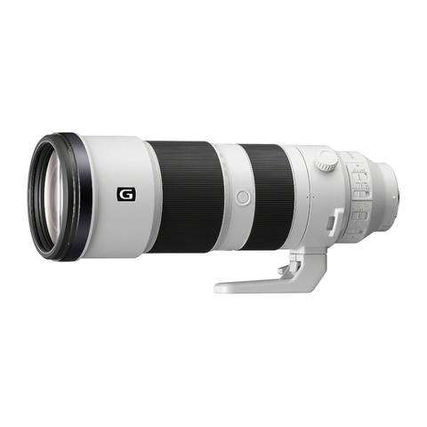 Best camera lenses for taking action shots 2024