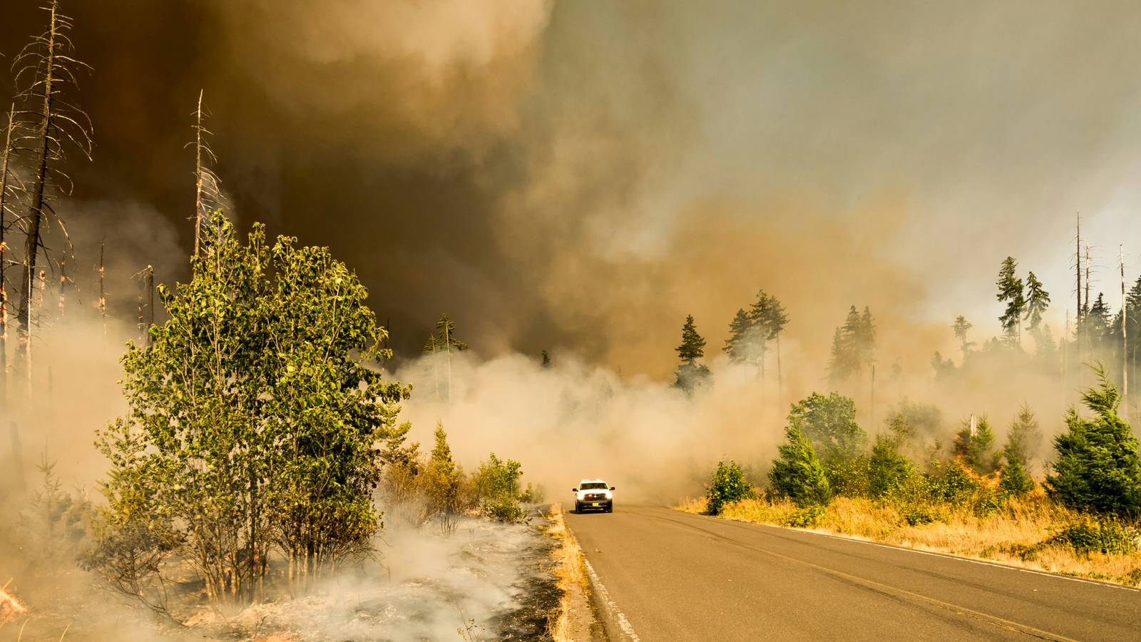 7 gadgets to have on hand in case of a natural disaster