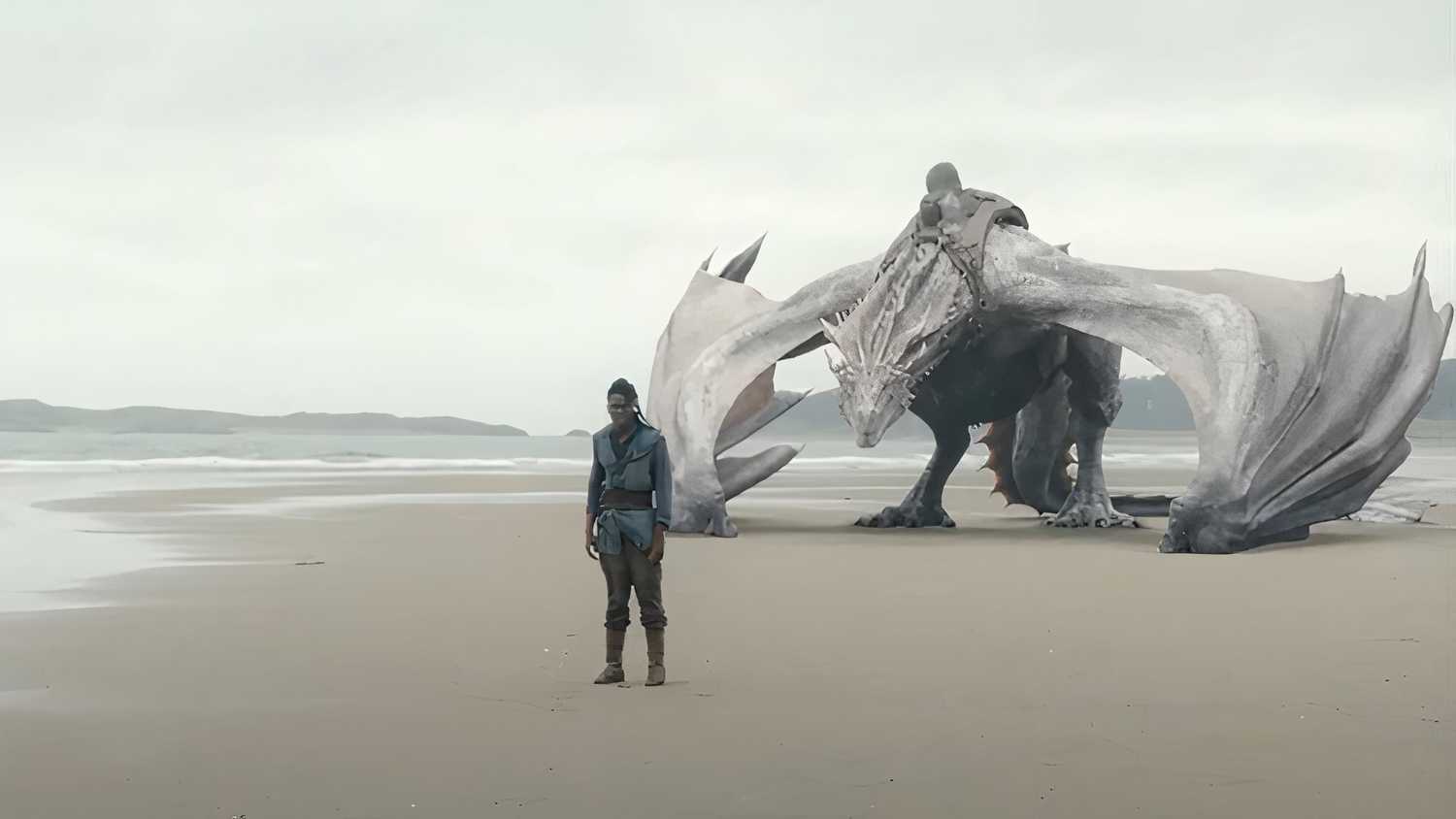 New dragon riders in House of the Dragon have a curious link
