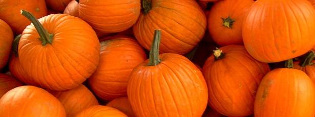 Five awesome Hallomeme costumes