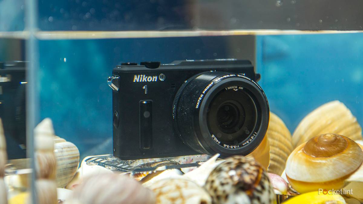 Nikon 1 AW1: Hands-on with the world's first waterproof compact system ...