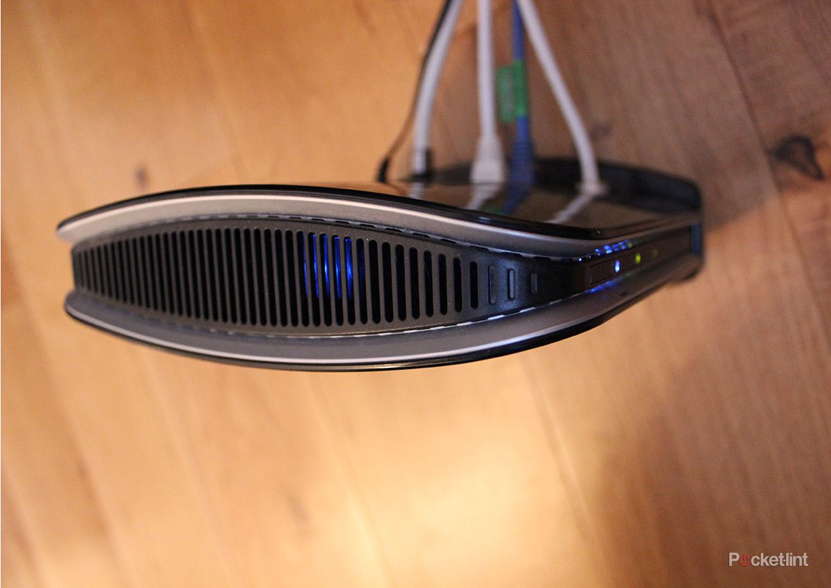 Wi-Fi dangerous? Plants near routers are dying