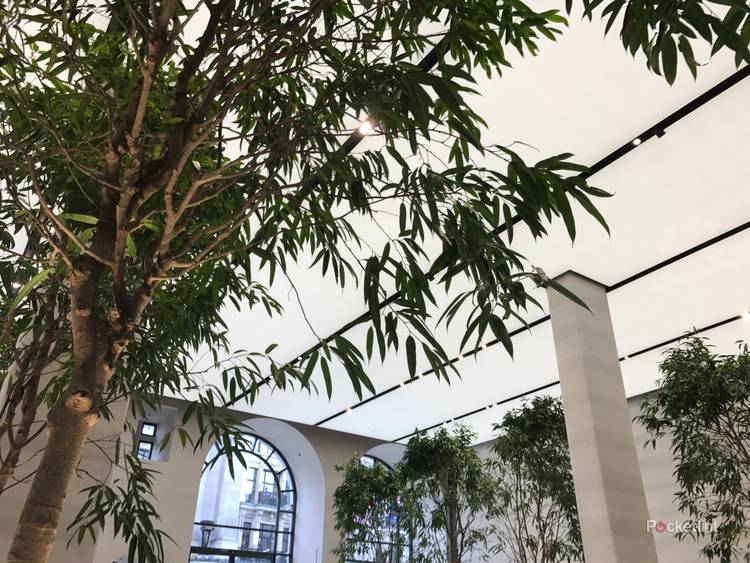 An amazing look inside the new Apple Regent Street store: Trees, marble ...