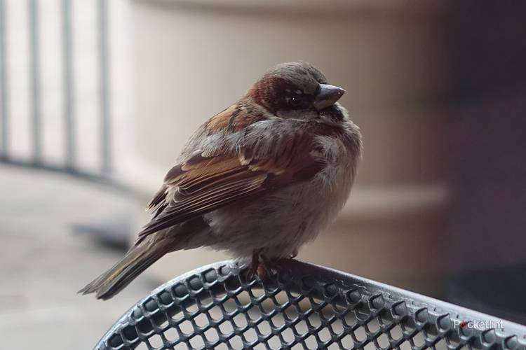 Sony RX100 V review: Impressive, but resting on its laurels