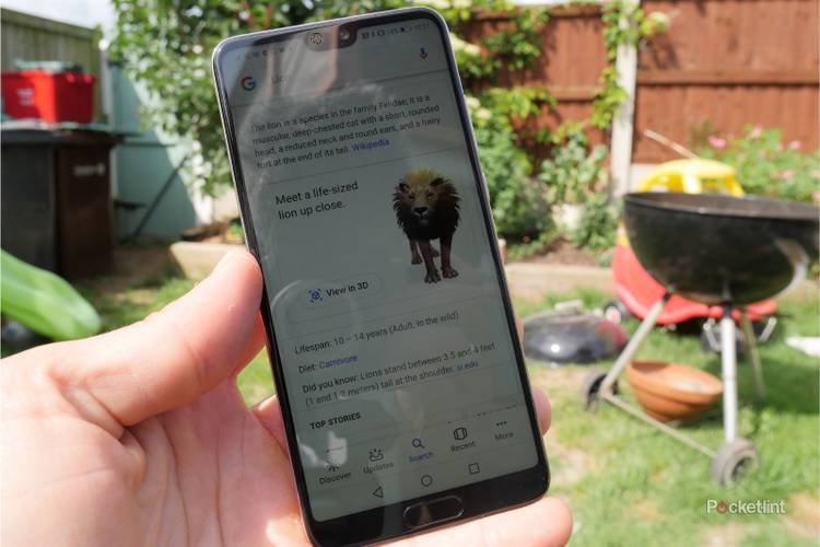 Google search results now include augmented reality animals