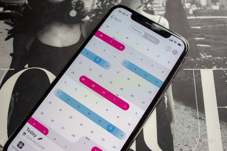 Best female health tracking apps