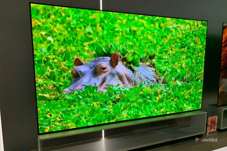 LG Signature OLED ZX 8K TV initial review: Bringing the wow factor