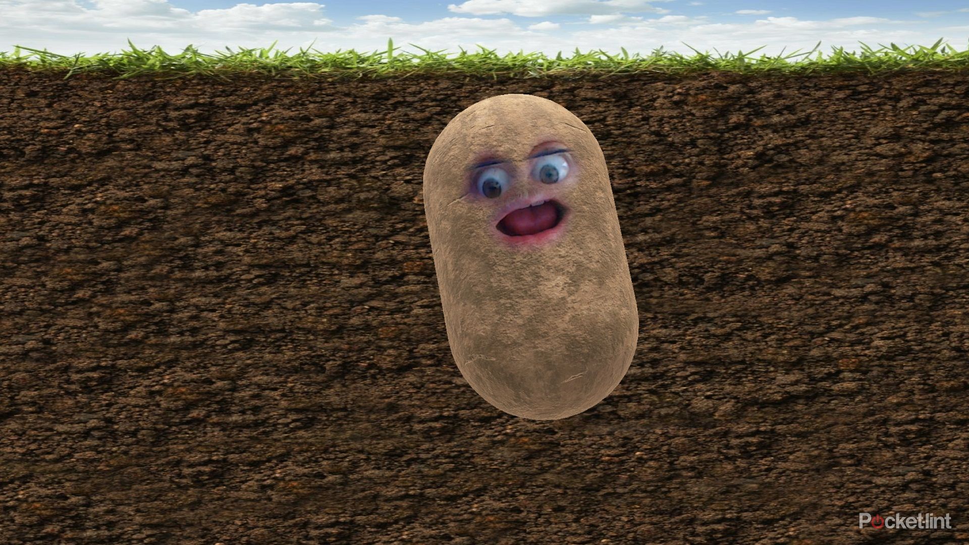 How to turn yourself into a potato or a cat (and other things) for Zoom ...