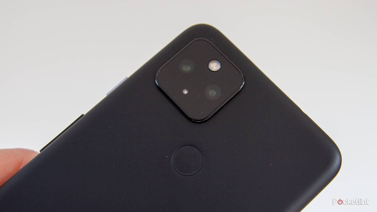 Image sample from Pixel 5a camera leaked by Google