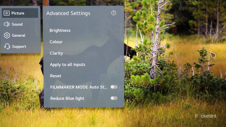 LG C1 OLED TV review (OLED55C15LA, OLED65C15LA, OLED48C15LA)