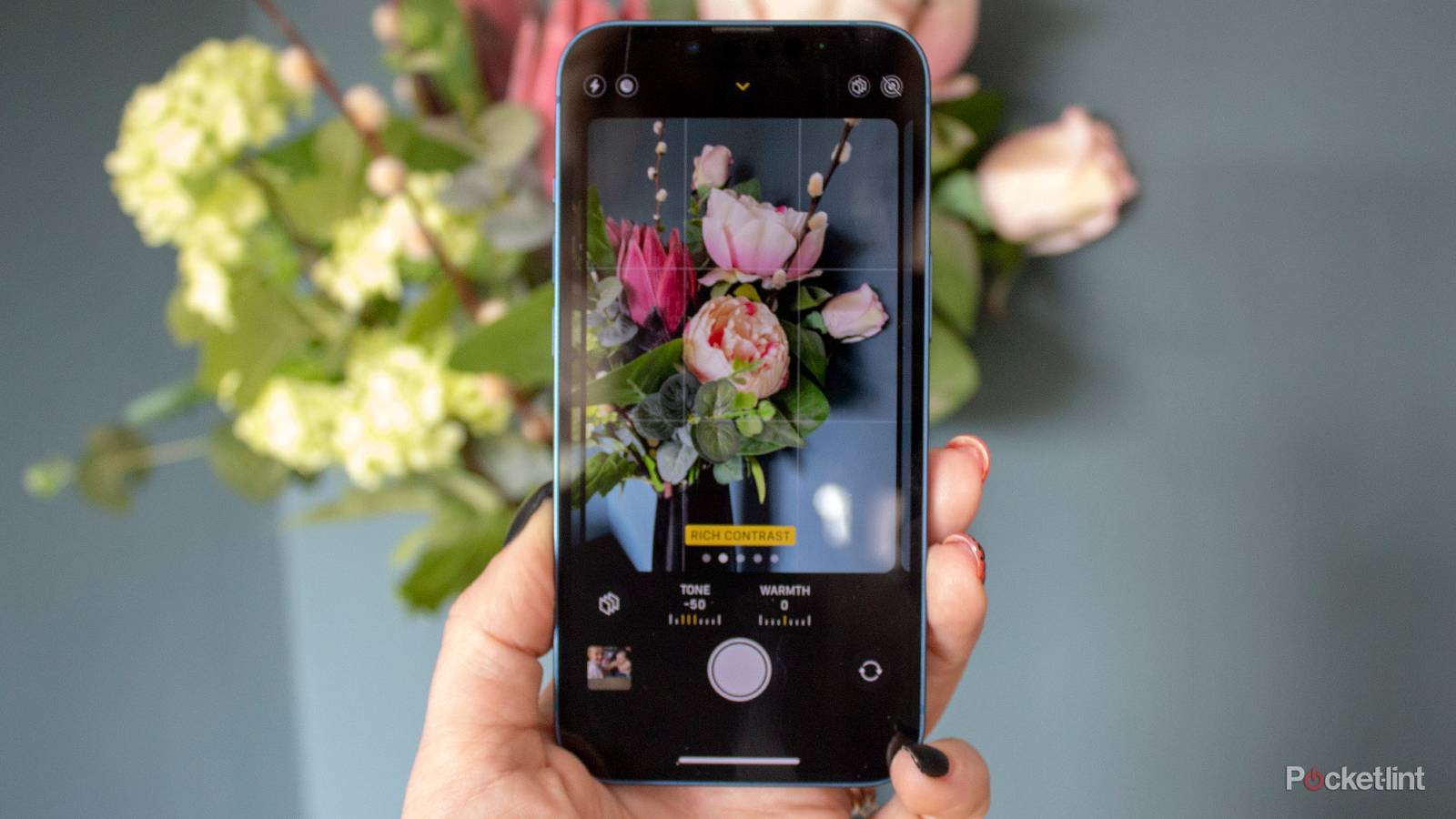 What are Photographic Styles and how do you use them?