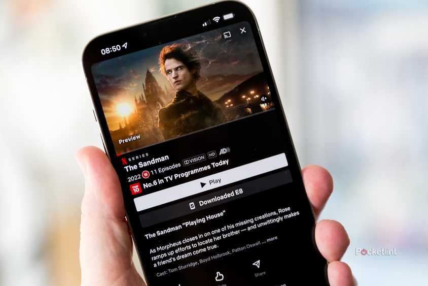 How to pause Netflix subscription