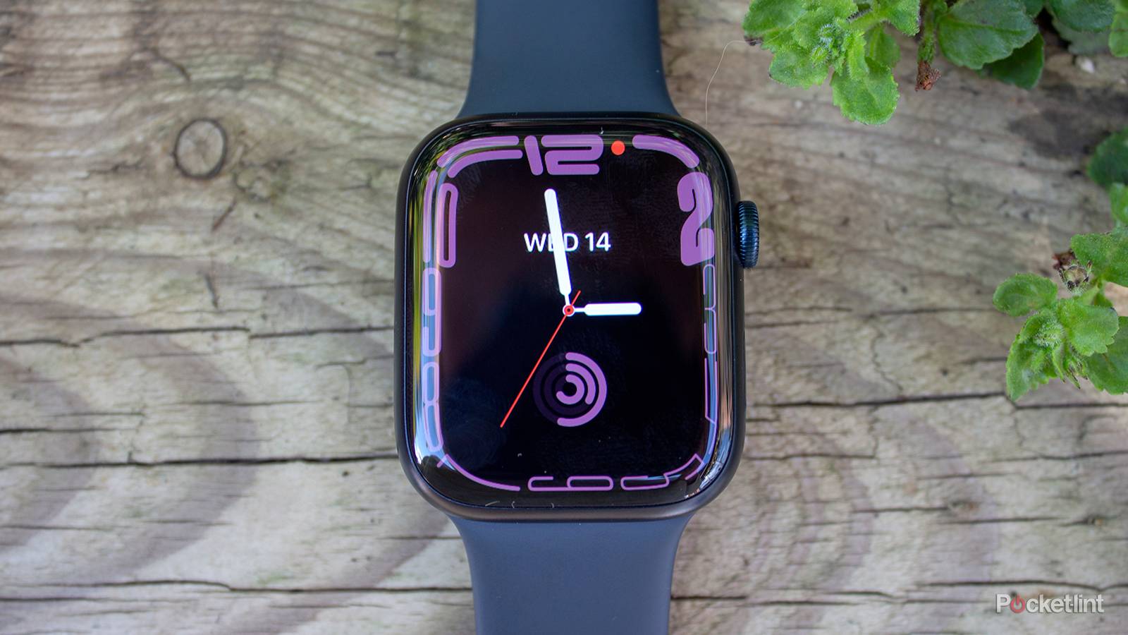 How to enable Taptic Chimes on your Apple Watch
