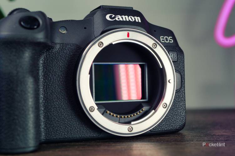 Canon EOS R8 vs R7: Which camera should you pick?