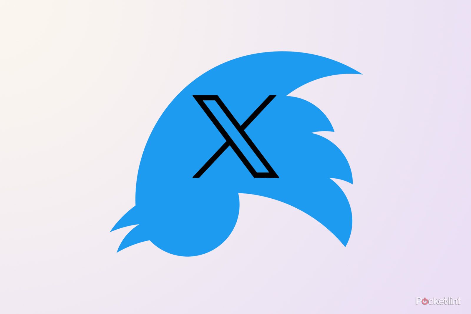 How to make calls on X