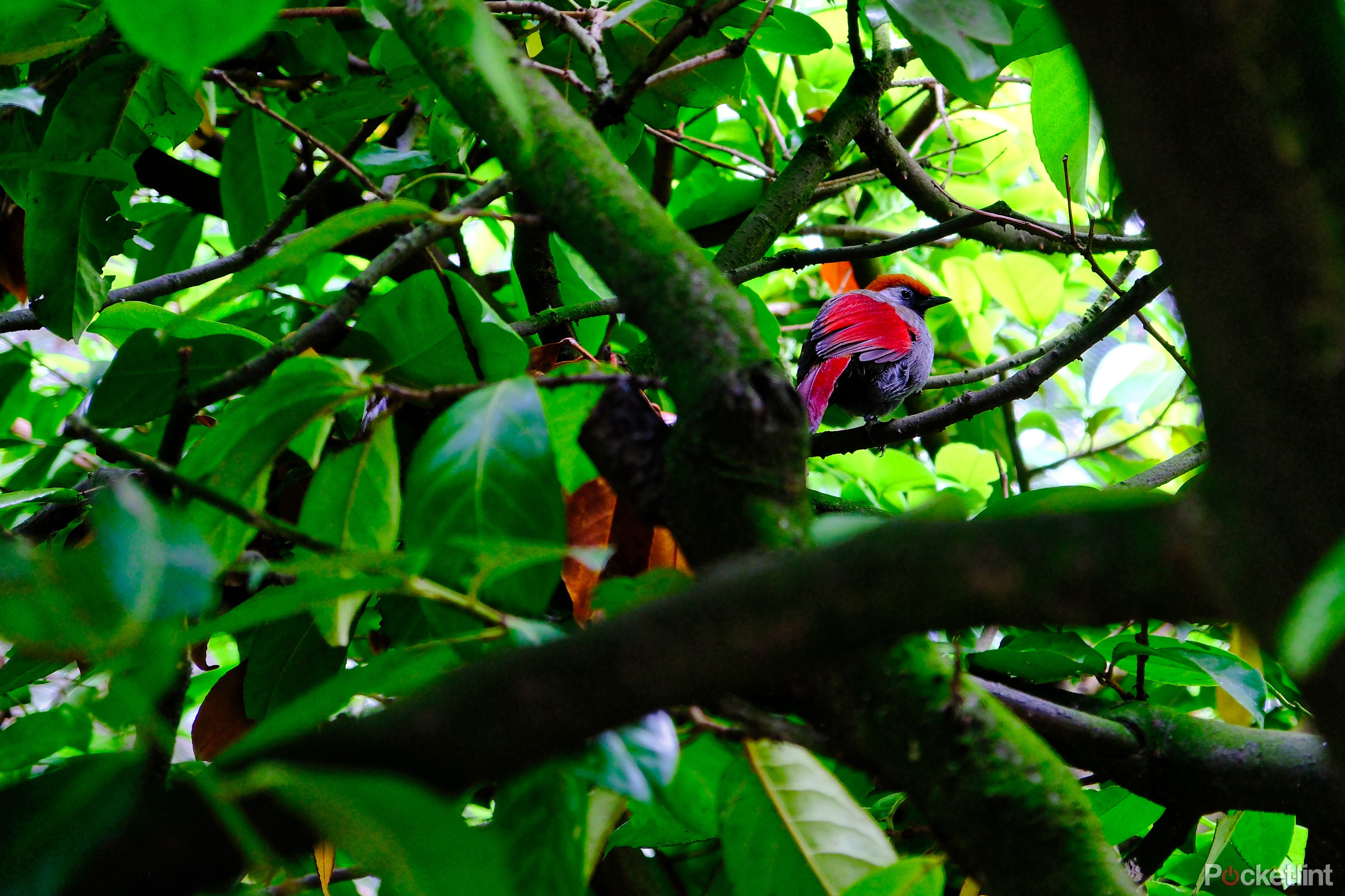 Fujifilm X-S20 review: Hybrid performance at a friendlier price