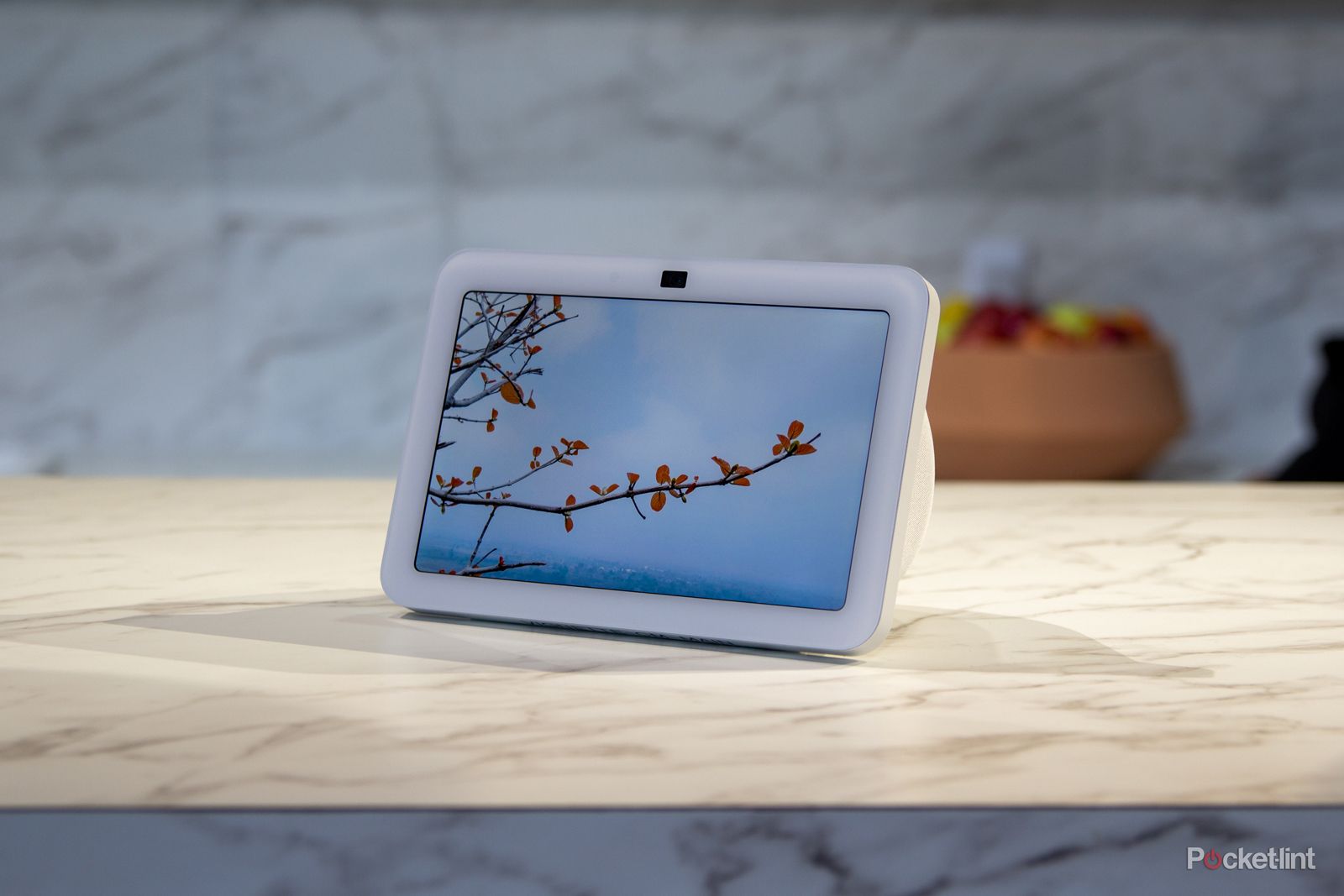 How to turn your Amazon Echo Show into a digital photo frame